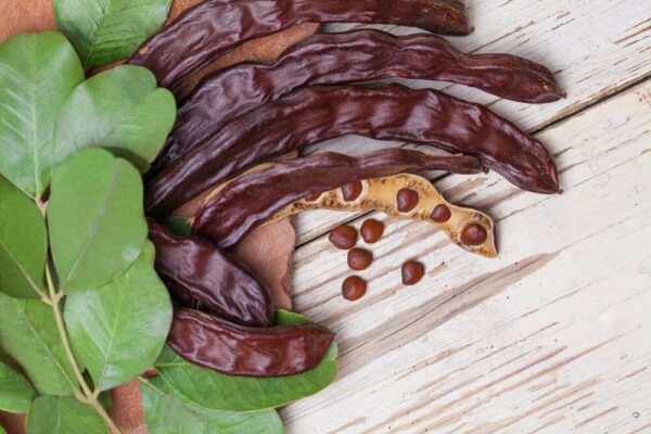 Karob - właściwości, zastosowanie i przeciwwskazania